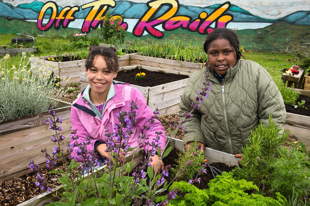 Home - Scottish Community Alliance